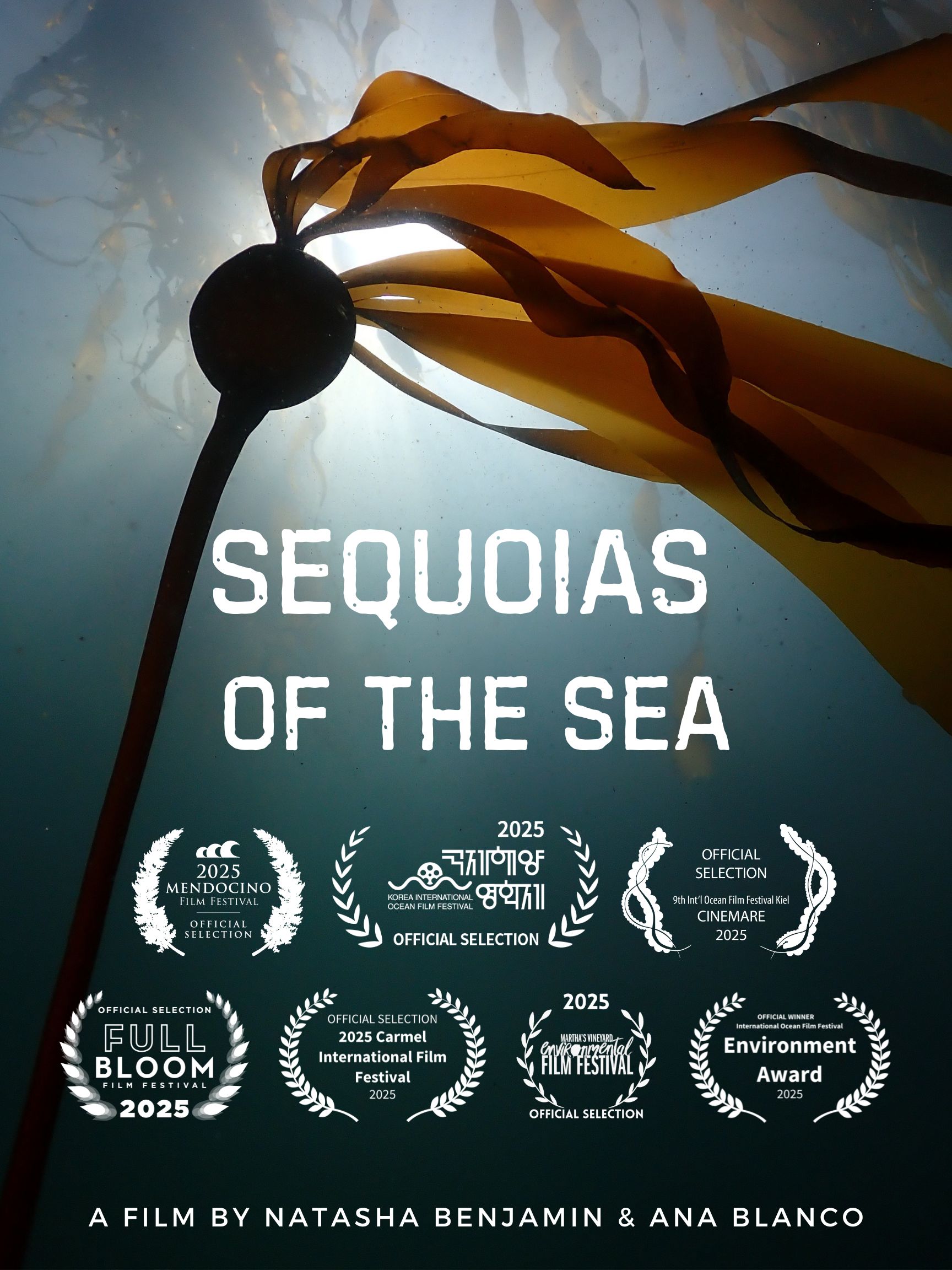"Sequoias of the Sea" Screening at SBMM Explores the Disappearance of California’s Kelp Forests ...